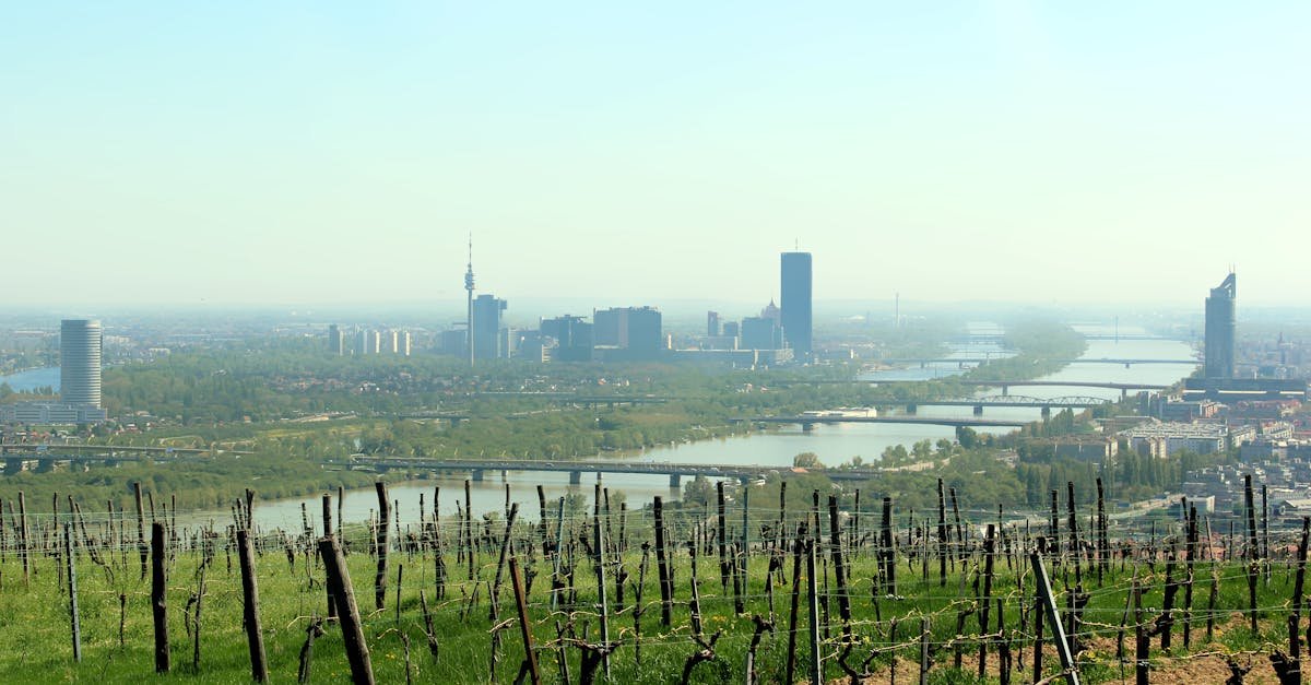 Cost of living in Vienna — Rent, salary & taxes 2026 | GoWira